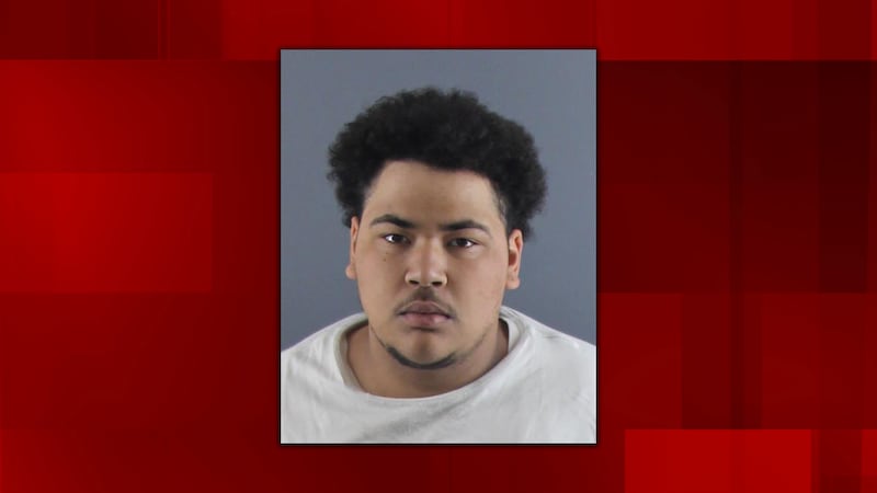 19 Year Old Man Given Decade In Prison For Repeatedly Firing Gun At